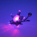 Light Up Belly Button Ring - Flower